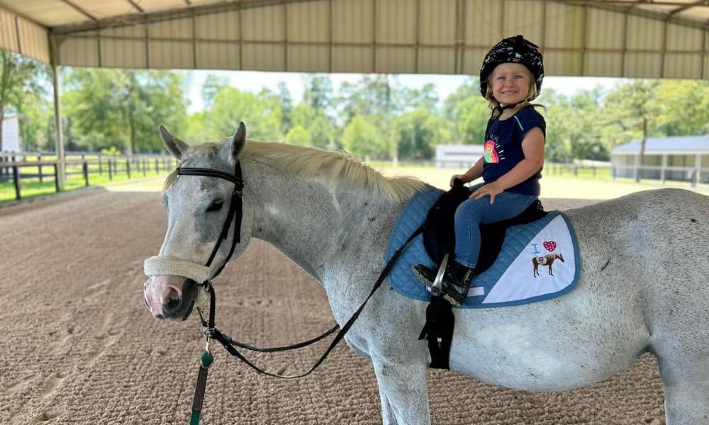 Riding Skill Progression - Magnolia Meadows Ranch