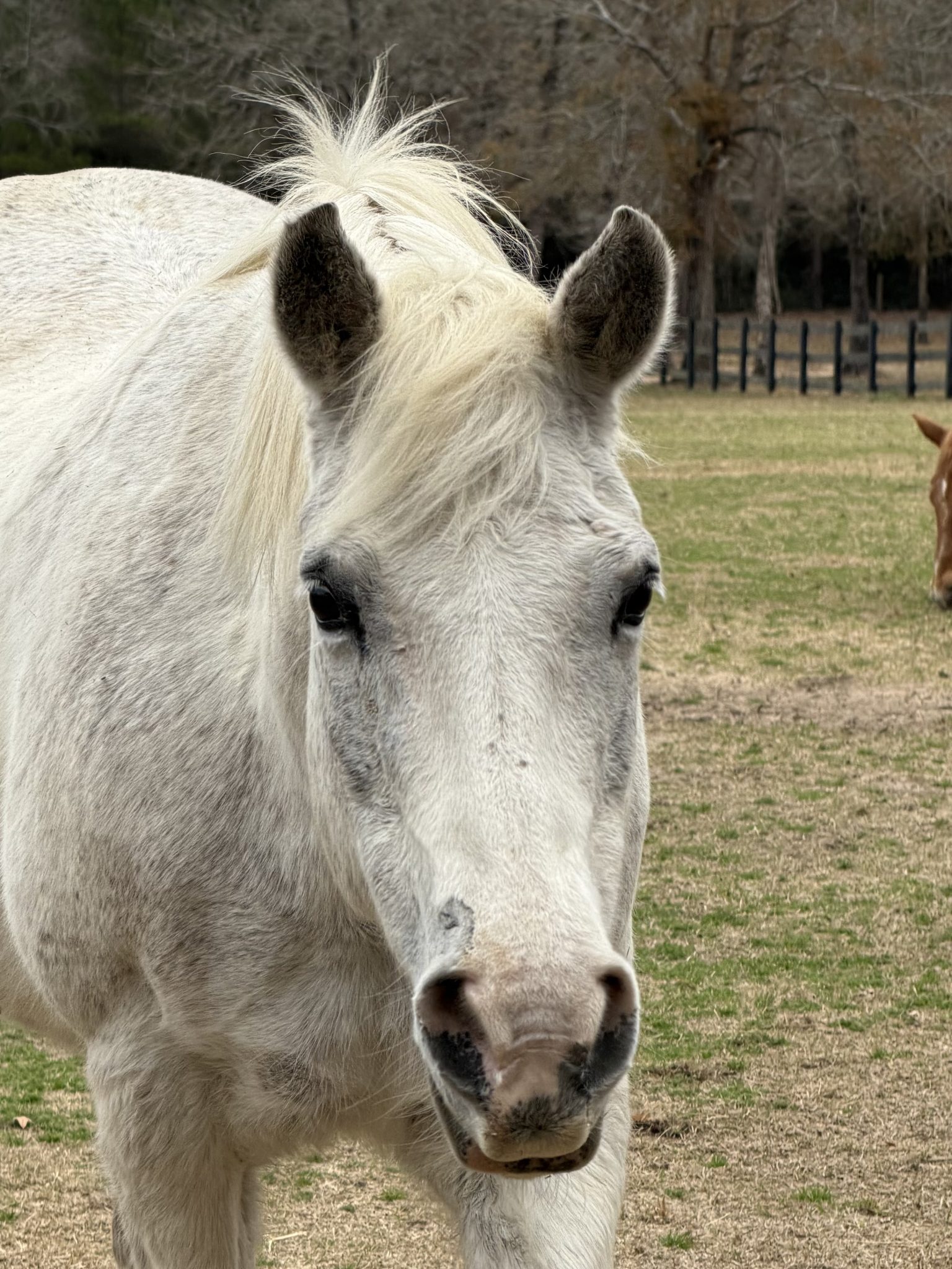 START YOUR RIDING JOURNEY – WITH A ONE-ON-ONE 30-MINUTE INTRO CLASS IN ...